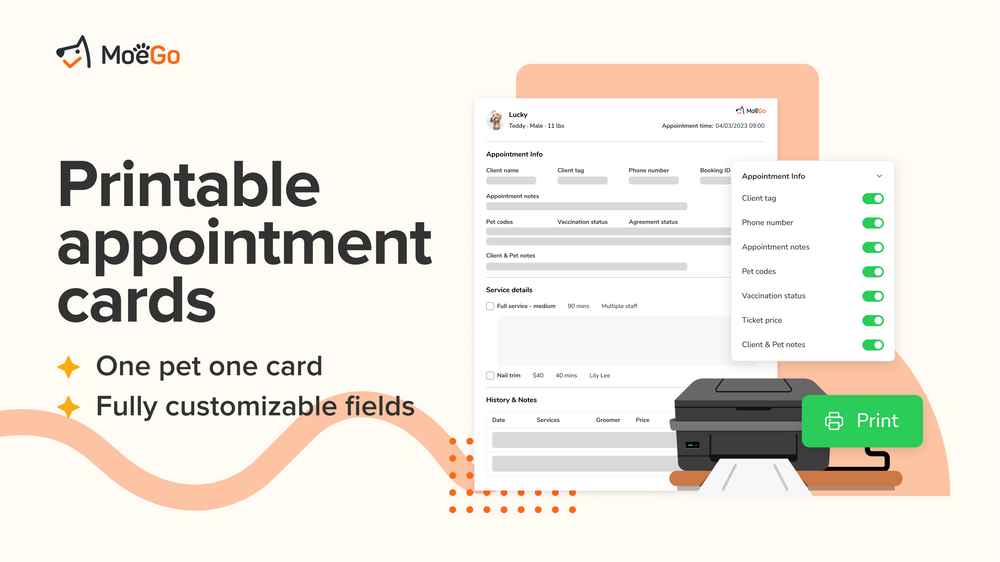 Printable Appointment Cards