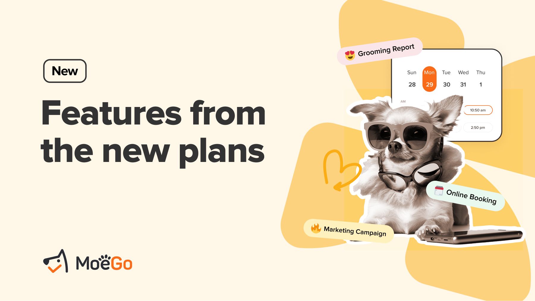 MoeGo - the best software for pet groomer